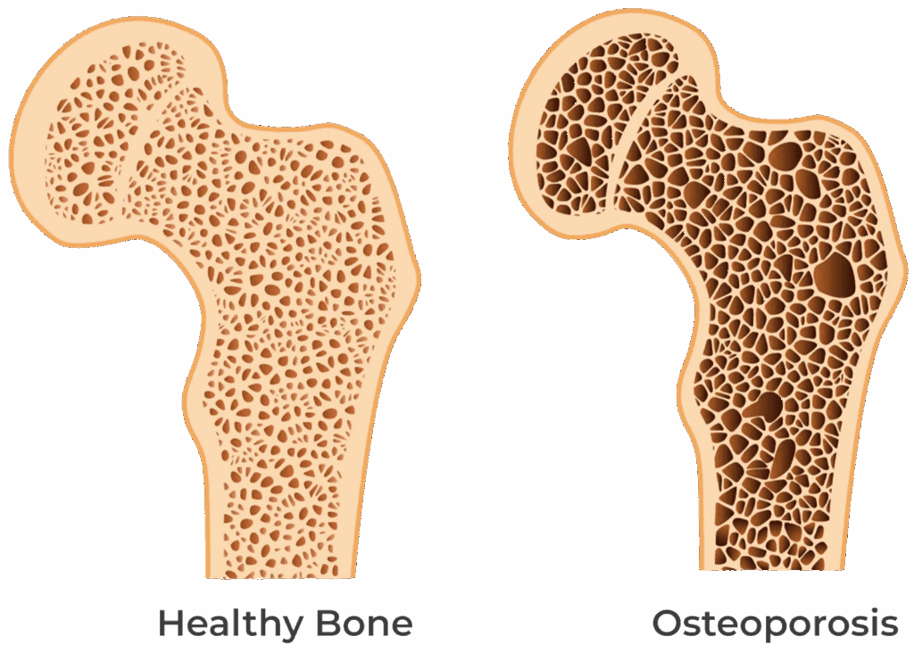Home – The Rogue Pharmacist